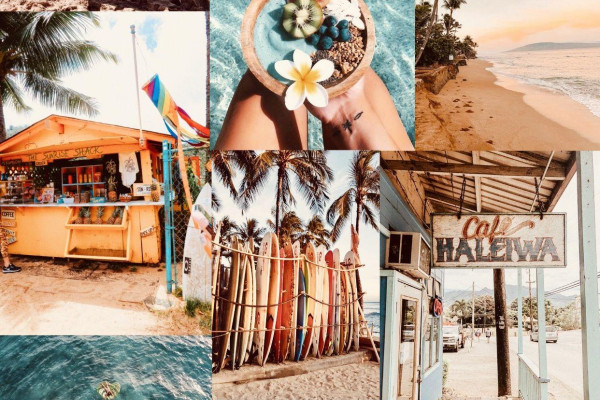 Aesthetic Tropical Wallpapers - Top Free Aesthetic Tropical Backgrounds ...