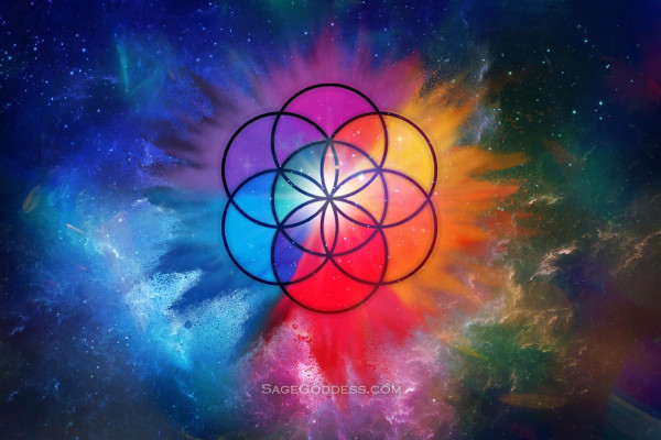 Tree of Life Wallpapers - Top Free Tree of Life Backgrounds ...