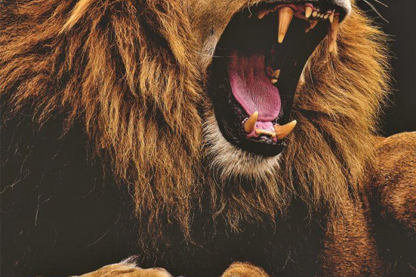 Danger Wallpapers - Top Free Danger Backgrounds - WallpaperAccess