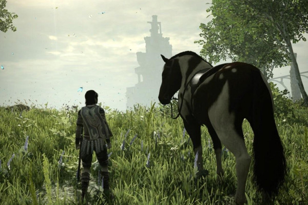 Goose Hunting Wallpapers - Top Free Goose Hunting Backgrounds ...