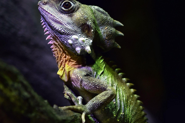 Pixar Wallpapers - Top Free Pixar Backgrounds - WallpaperAccess