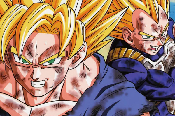 DBZ Fusion Wallpapers - Top Free DBZ Fusion Backgrounds - WallpaperAccess